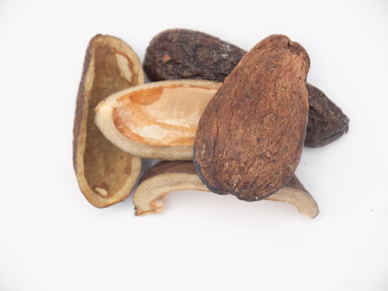 Safou, Atanga, Nsafu, African Bush Pear, Prunes, Bush Butter, Dacryodes ...