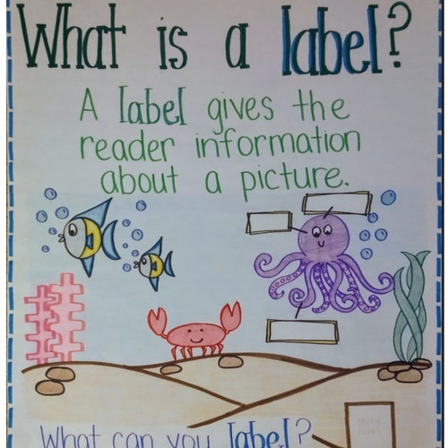 What is Comprehension Anchor Chart | Etsy