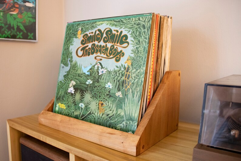 Vinyl Record Case Vinyl Storage Case Record Display Case - Etsy