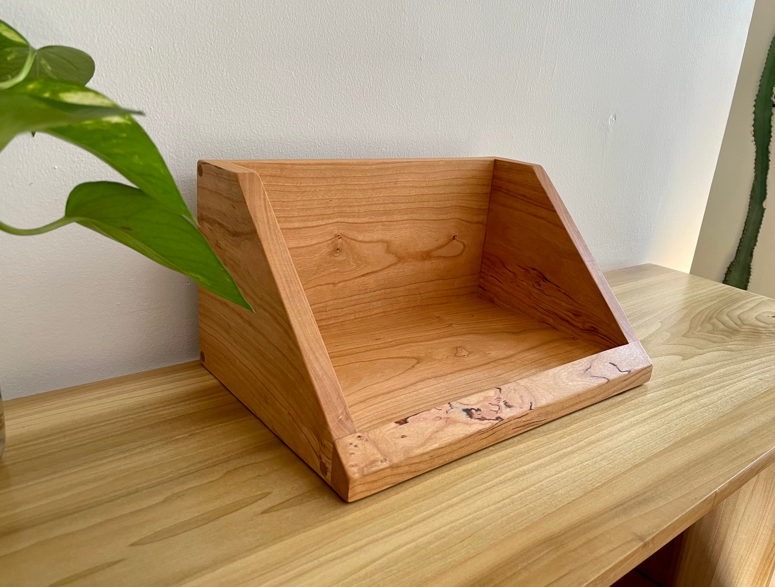 Vinyl Record Case Vinyl Storage Case Record Display Case | Etsy