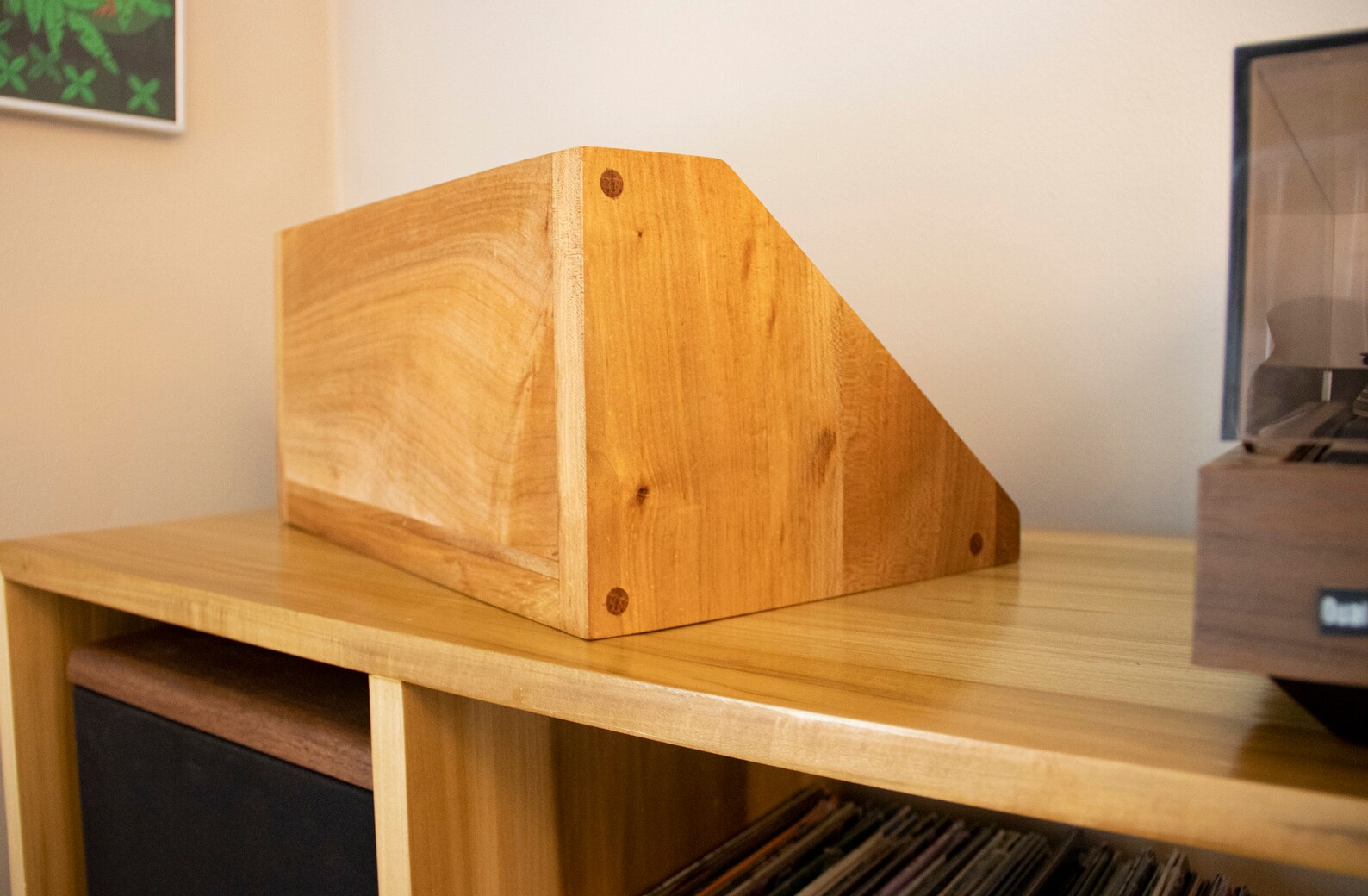 Vinyl Record Case Vinyl Storage Case Record Display Case | Etsy