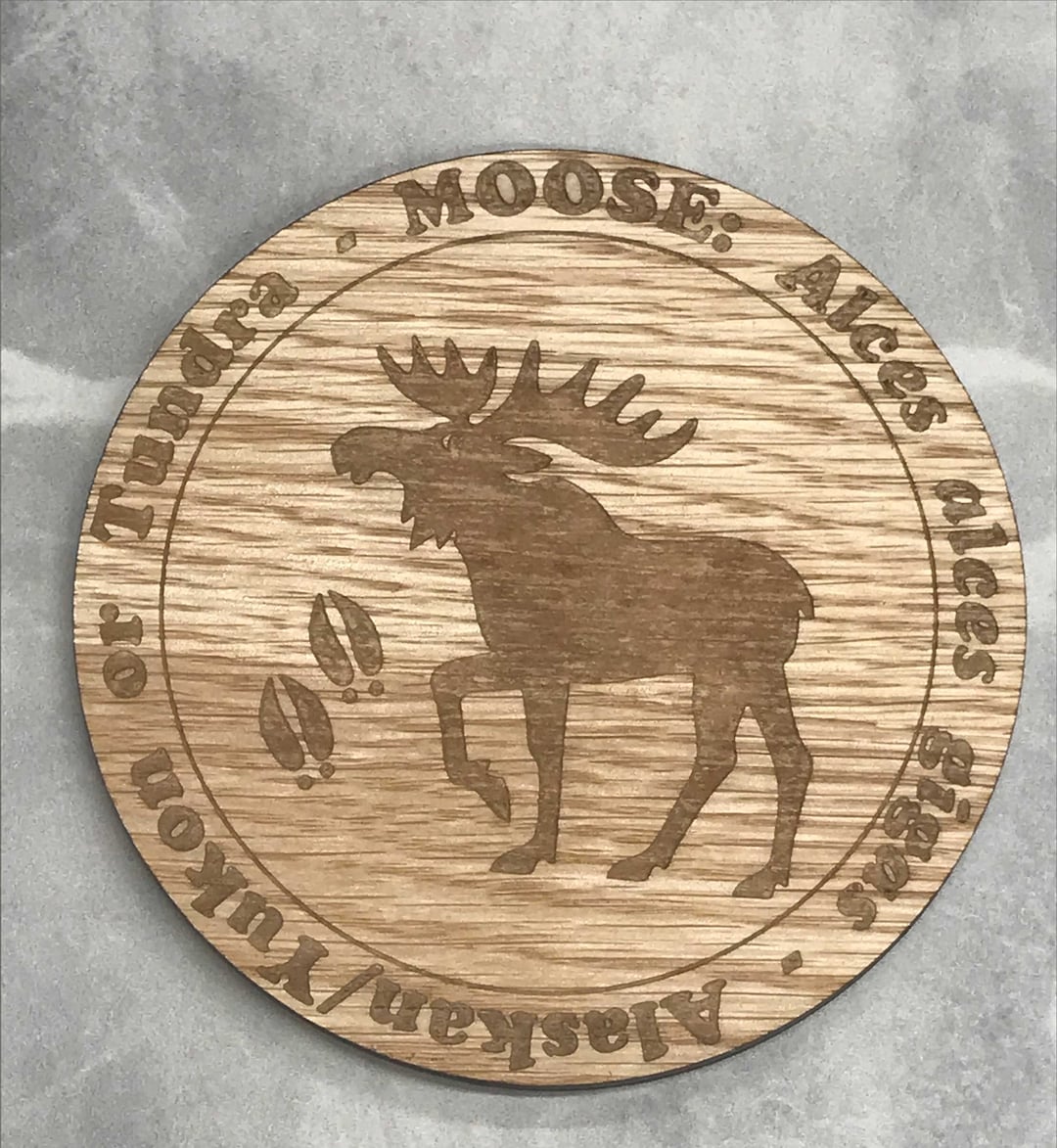 Set of 4 Laser Cut Coasters With a Moose - Etsy