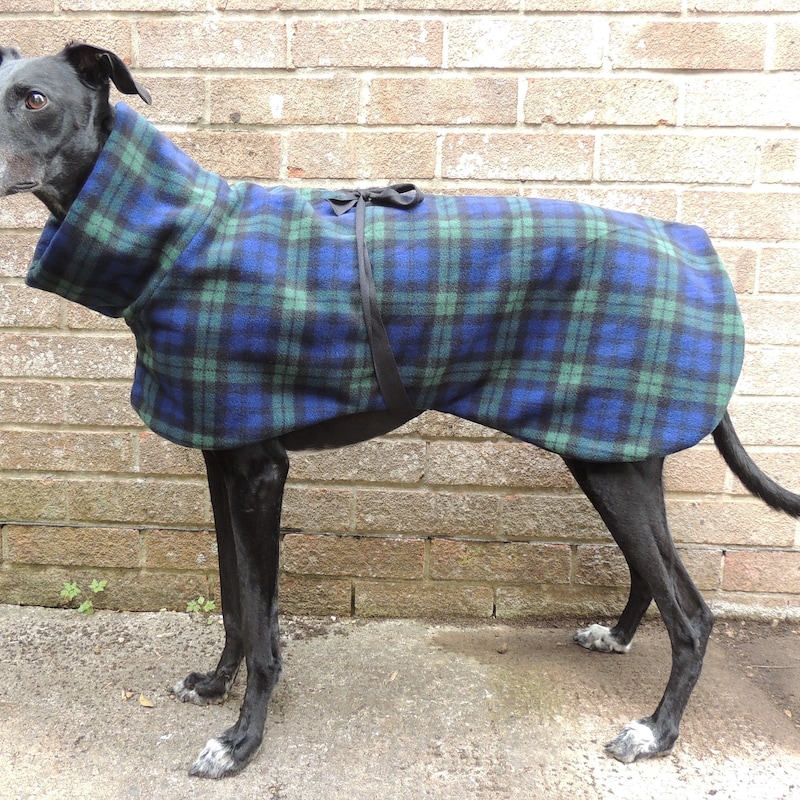 Greyhound Coats - Etsy UK