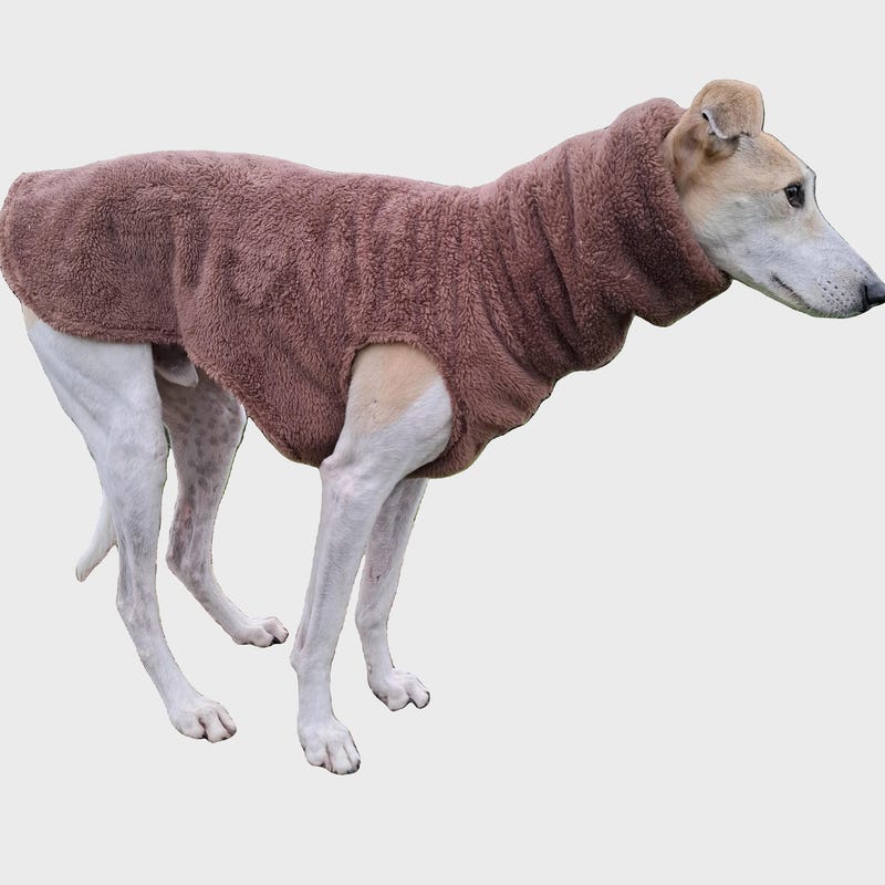 Greyhound Coats - Etsy