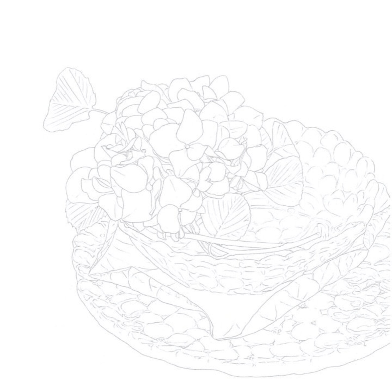 Flowers Time Heart Fluttering Coloring Book with Color Pencils | Etsy