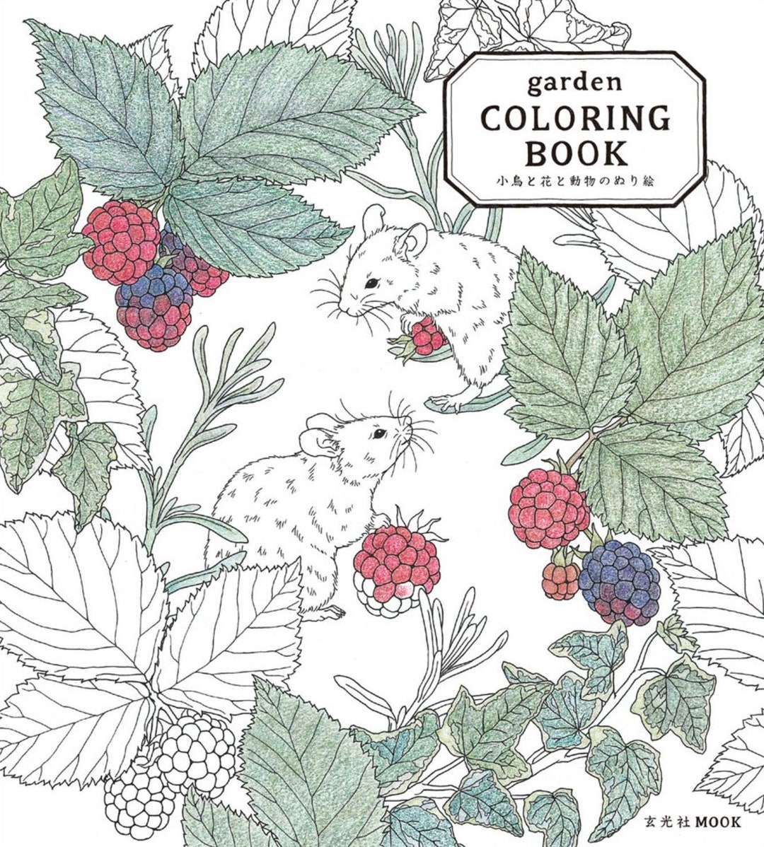 Garden COLORING BOOK Little Birds, Flowers and Animals - Japanese ...