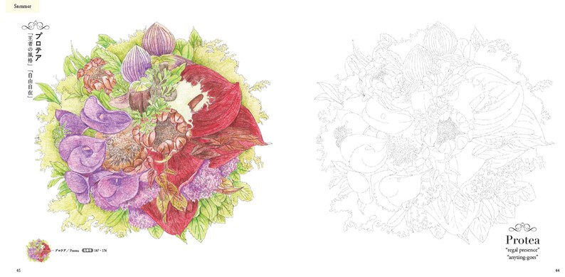Coloring Flower Language & Flower Picture Book Bouquet and - Etsy
