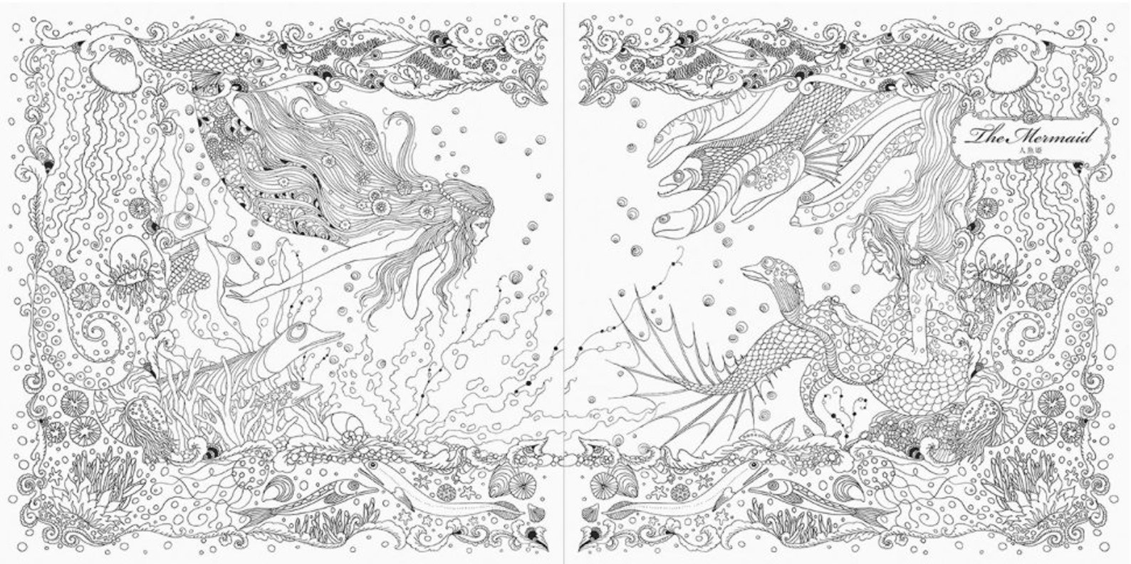 Princess and Fairy's Coloring Book Japanese Coloring | Etsy