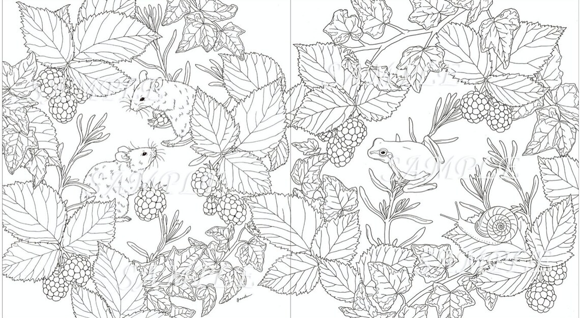 Garden COLORING BOOK Little Birds Flowers and Animals - Etsy