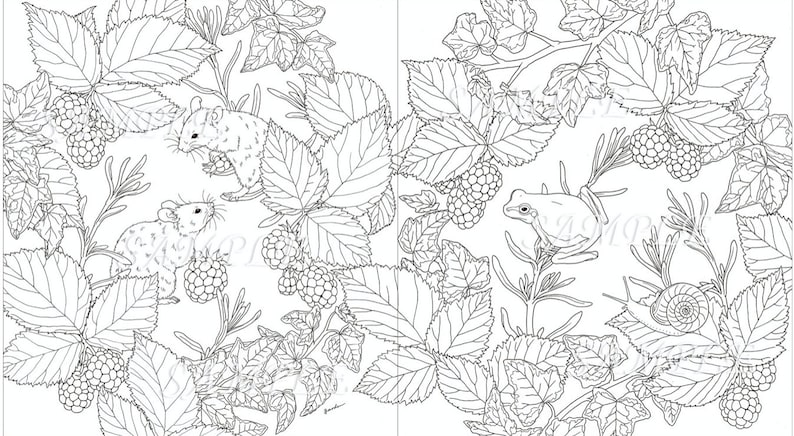 Garden COLORING BOOK Little Birds Flowers and Animals - Etsy