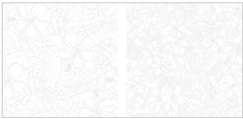 Bagus Coloring Book of Bari Island Japanese Adultprecise - Etsy