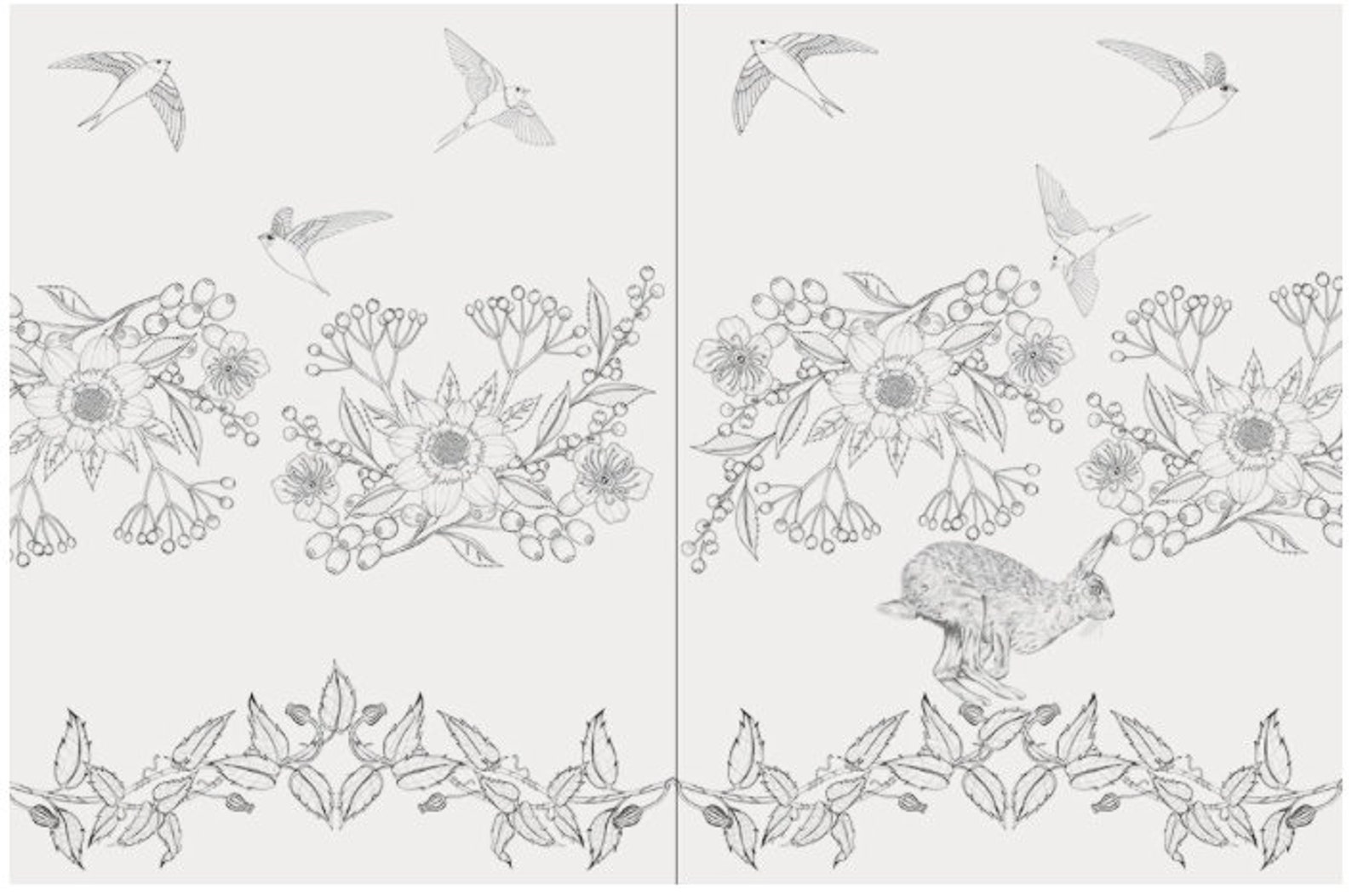 Daisy Fletcher Birtopia World's Beautiful Birds and Flowers Coloring ...