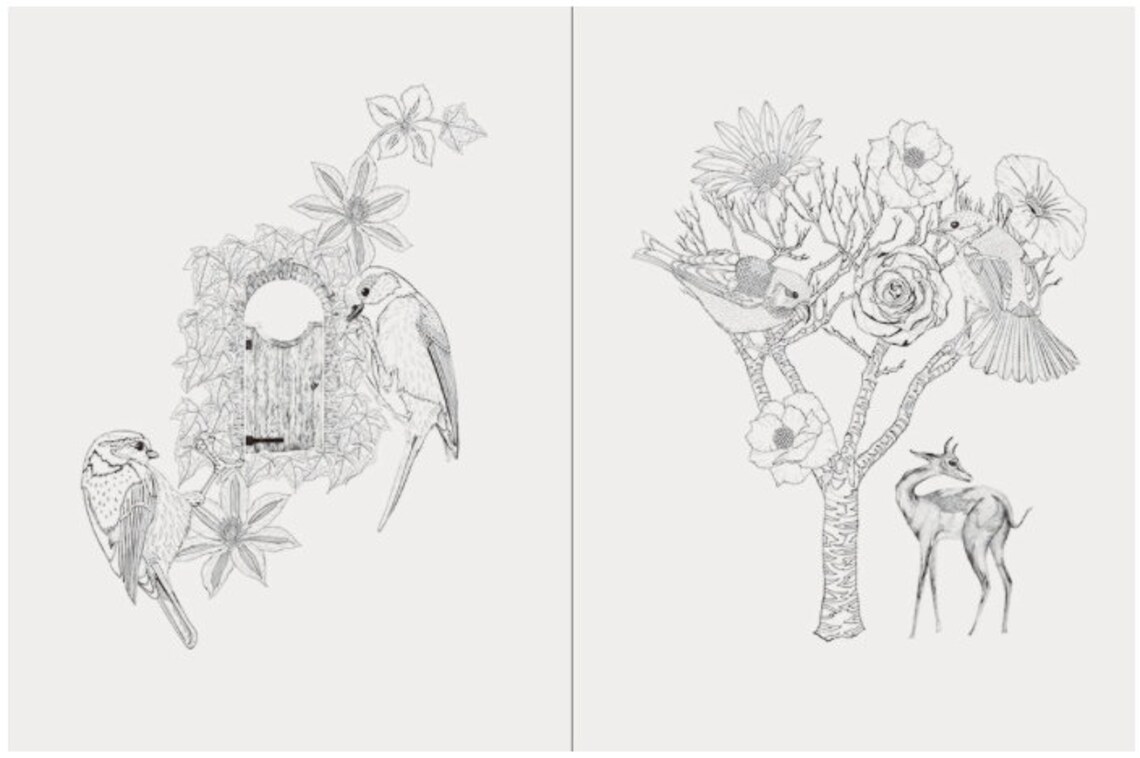 Daisy Fletcher Birtopia World's Beautiful Birds and | Etsy