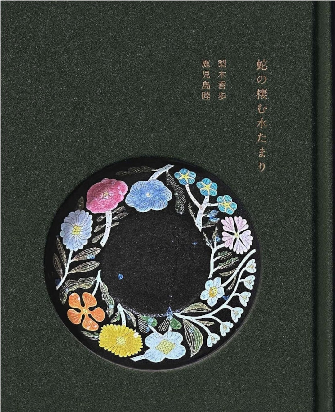 Makoto Kagoshima Puddle Where Snakes Live - Japanese Picture Book - Etsy