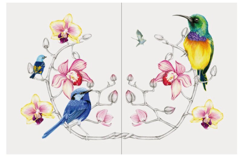 Daisy Fletcher Birtopia World's Beautiful Birds and - Etsy