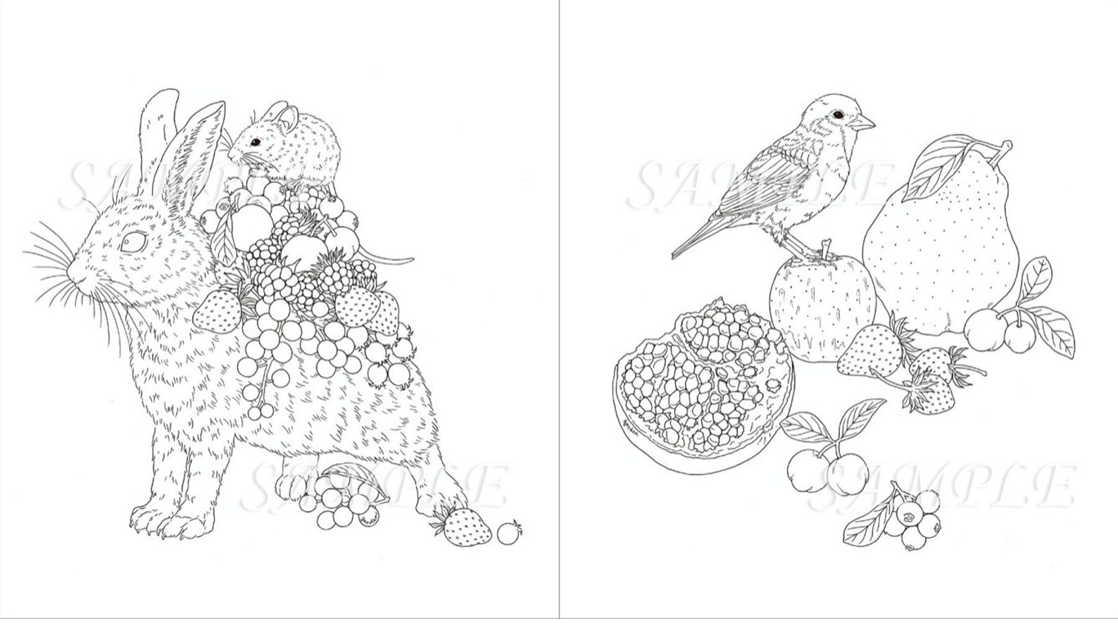 Garden COLORING BOOK Little Birds Flowers and Animals | Etsy