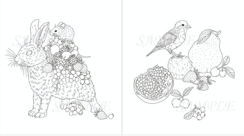 Garden COLORING BOOK Little Birds Flowers and Animals - Etsy