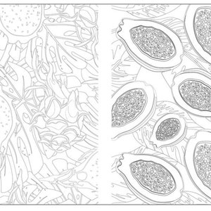 Bagus Coloring Book of Bari Island Japanese Adultprecise - Etsy