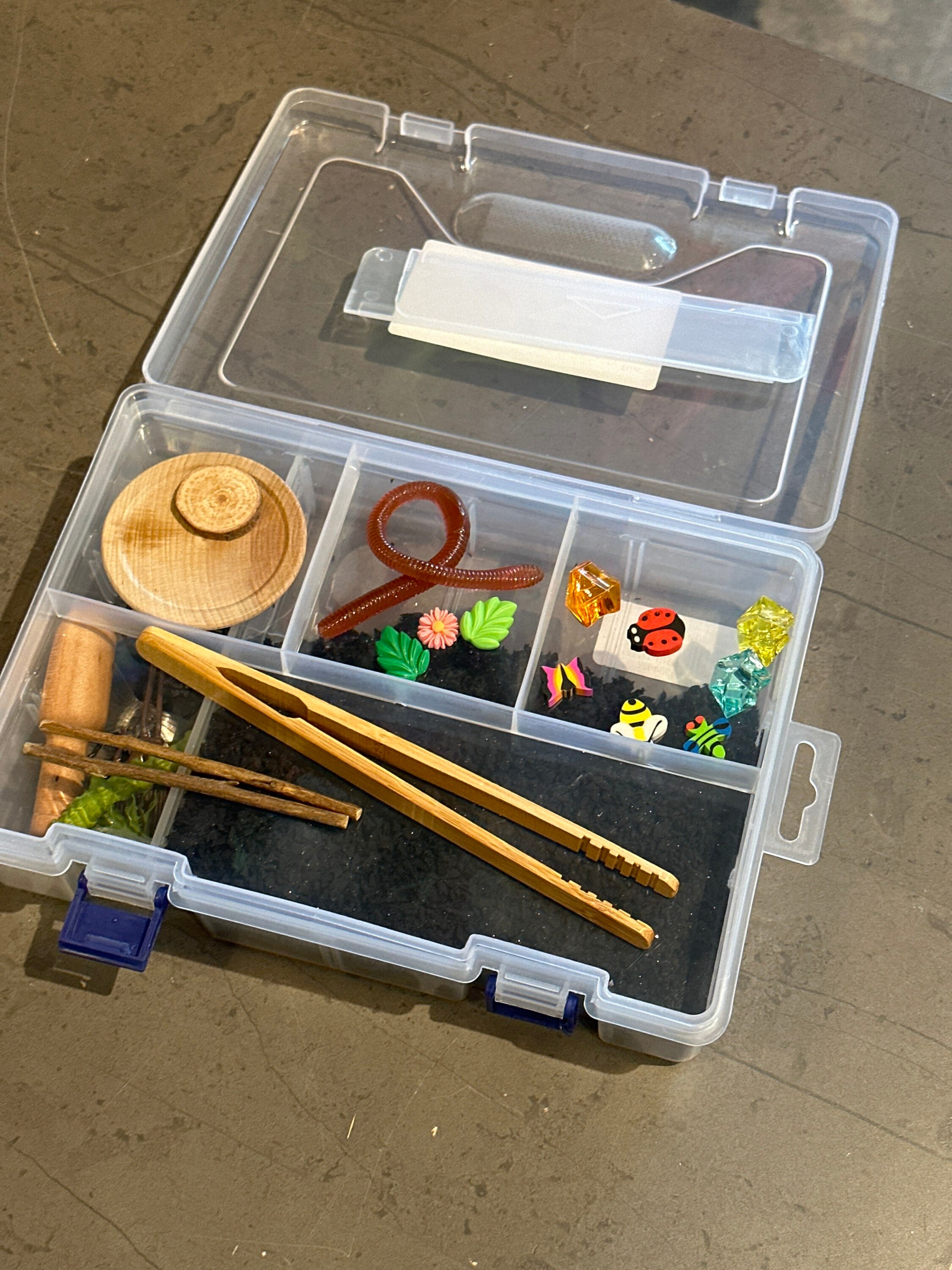 Insects Sensory Bin, Sensory Bin, Sensory Play, Insects, Bugs Bin, Busy ...