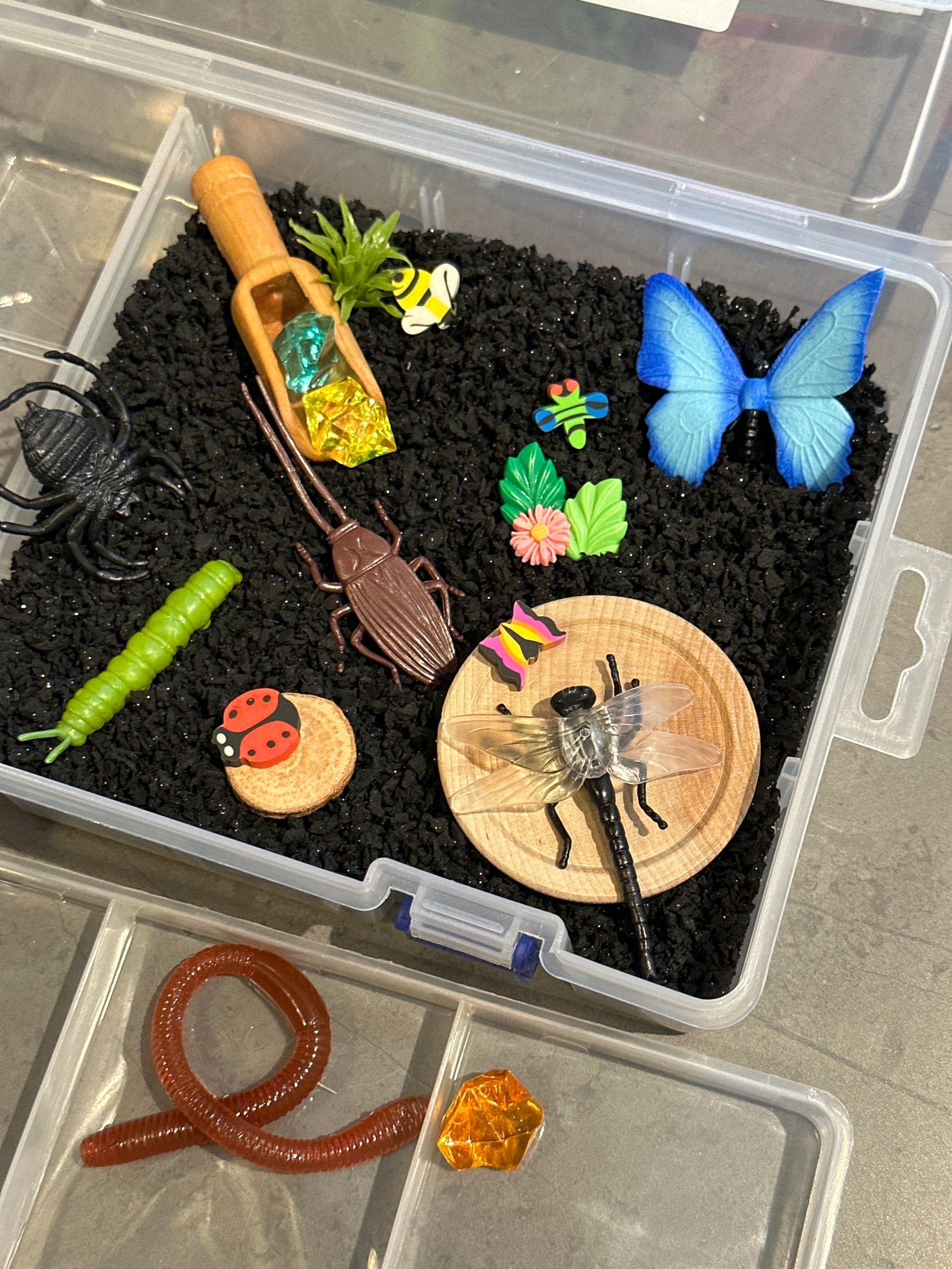 Insects Sensory Bin, Sensory Bin, Sensory Play, Insects, Bugs Bin, Busy ...