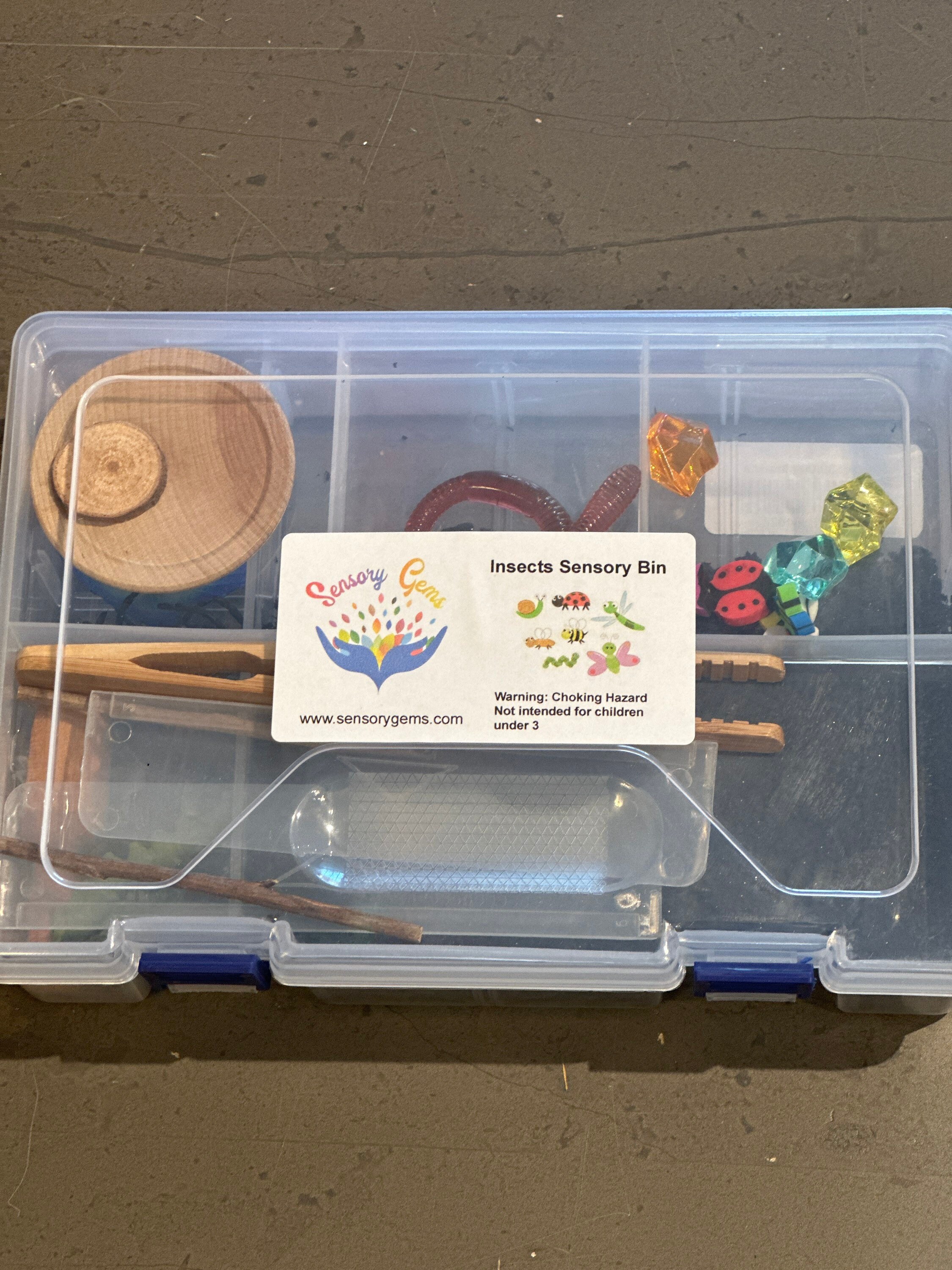 Insects Sensory Bin, Sensory Bin, Sensory Play, Insects, Bugs Bin, Busy ...