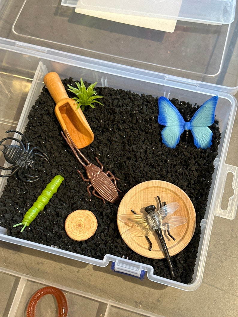 Insects Sensory Bin, Sensory Bin, Sensory Play, Insects, Bugs Bin, Busy ...