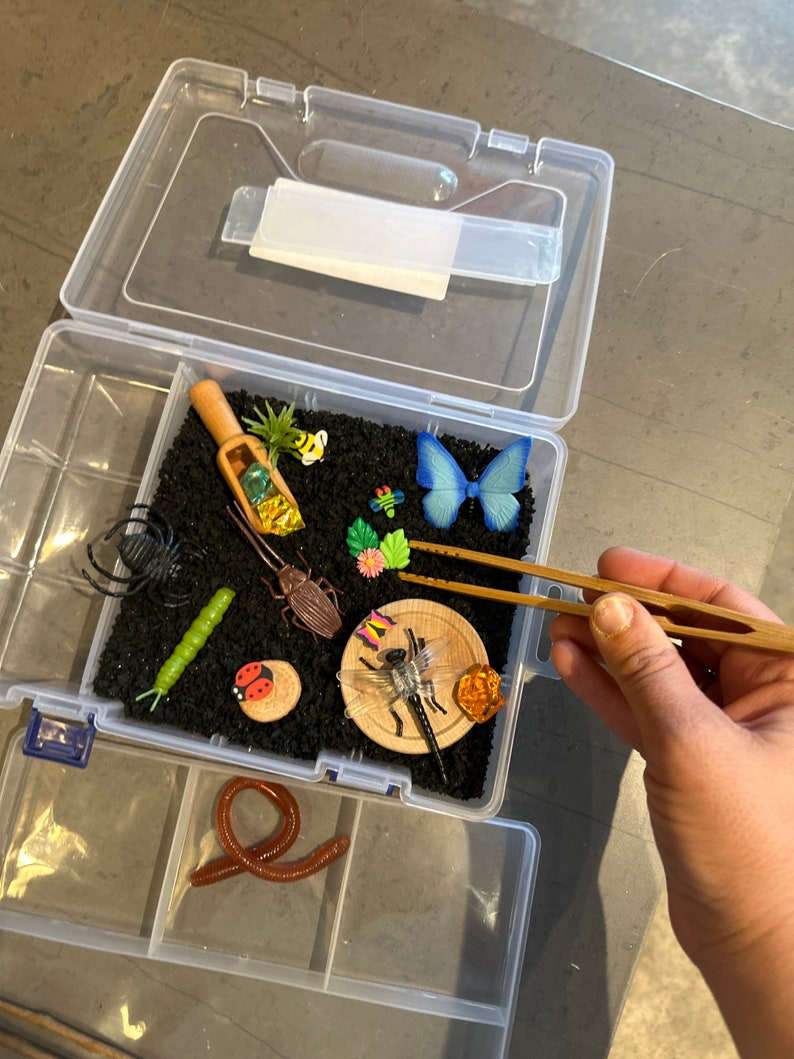 Insects Sensory Bin, Sensory Bin, Sensory Play, Insects, Bugs Bin, Busy ...