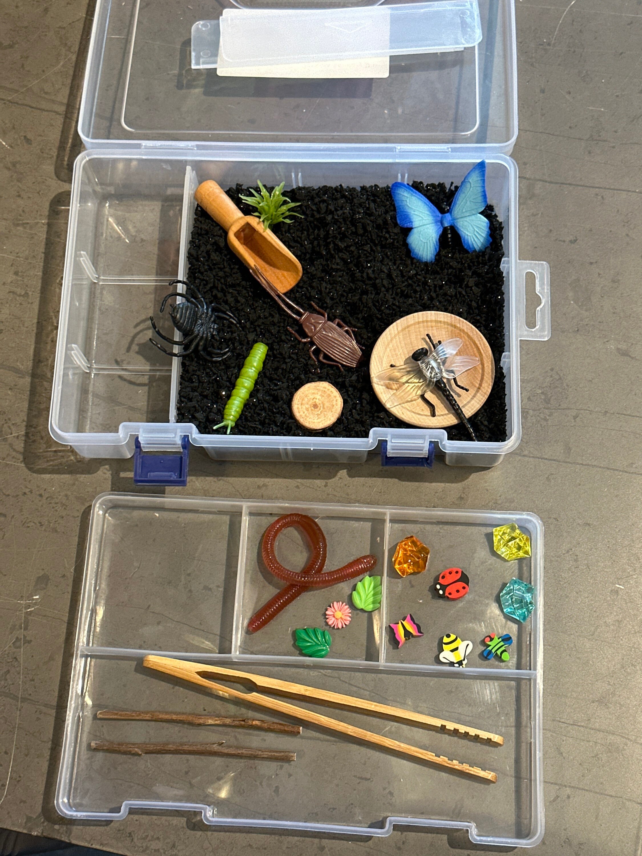 Insects Sensory Bin, Sensory Bin, Sensory Play, Insects, Bugs Bin, Busy ...