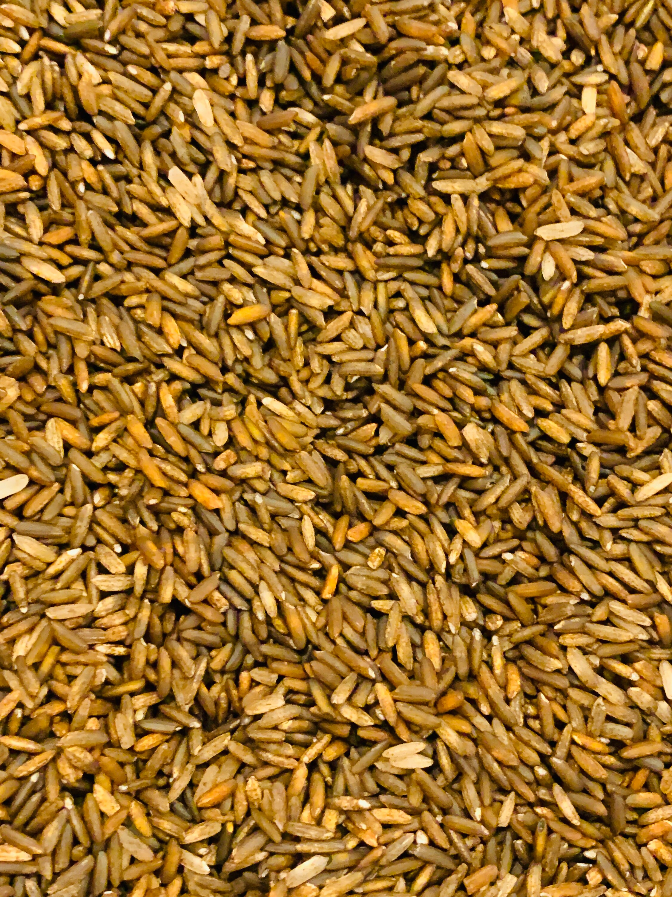 Rice Filler Sensory Bin Filler Sensory Bin Rice Colored - Etsy