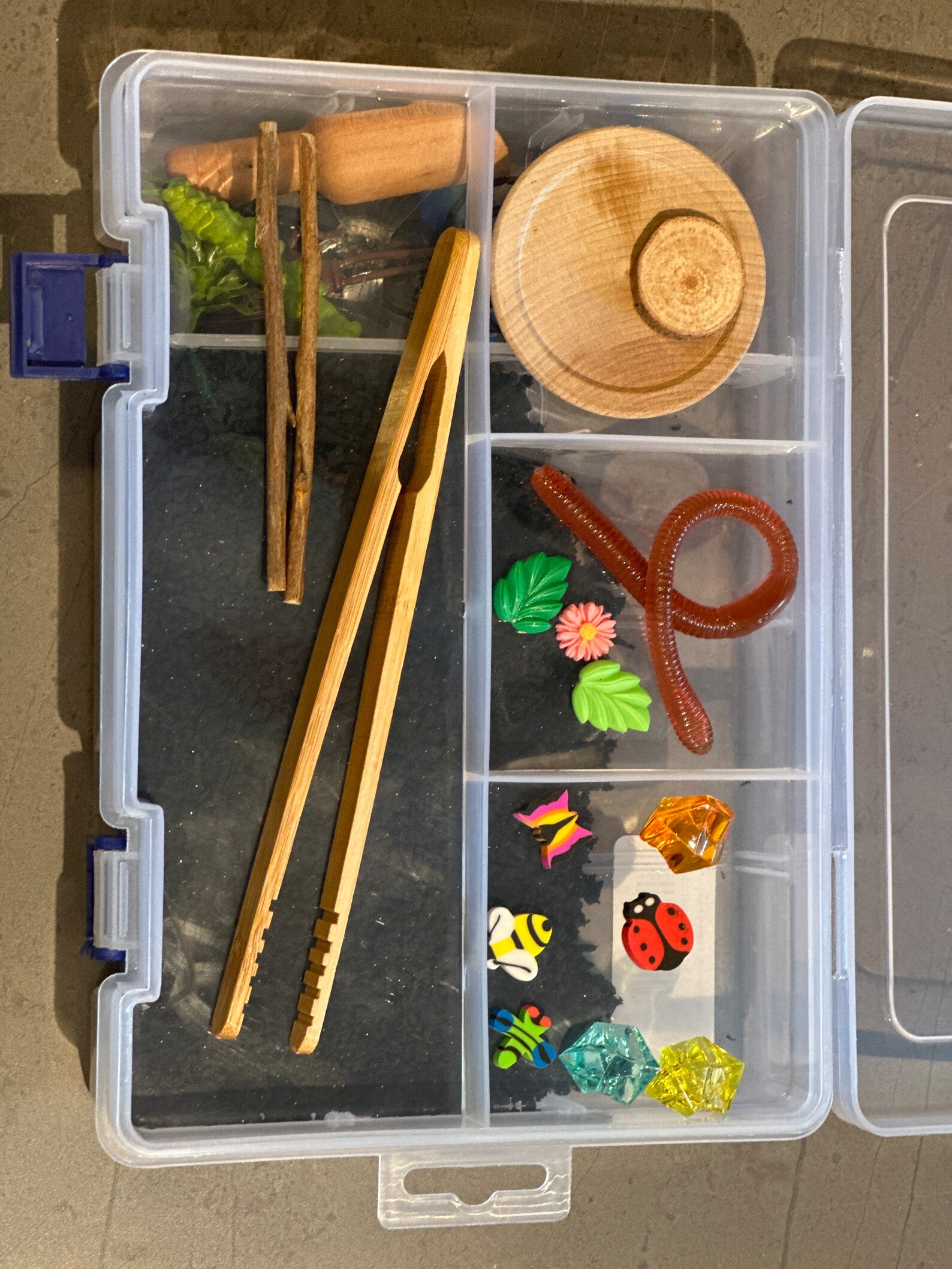 Insects Sensory Bin, Sensory Bin, Sensory Play, Insects, Bugs Bin, Busy ...