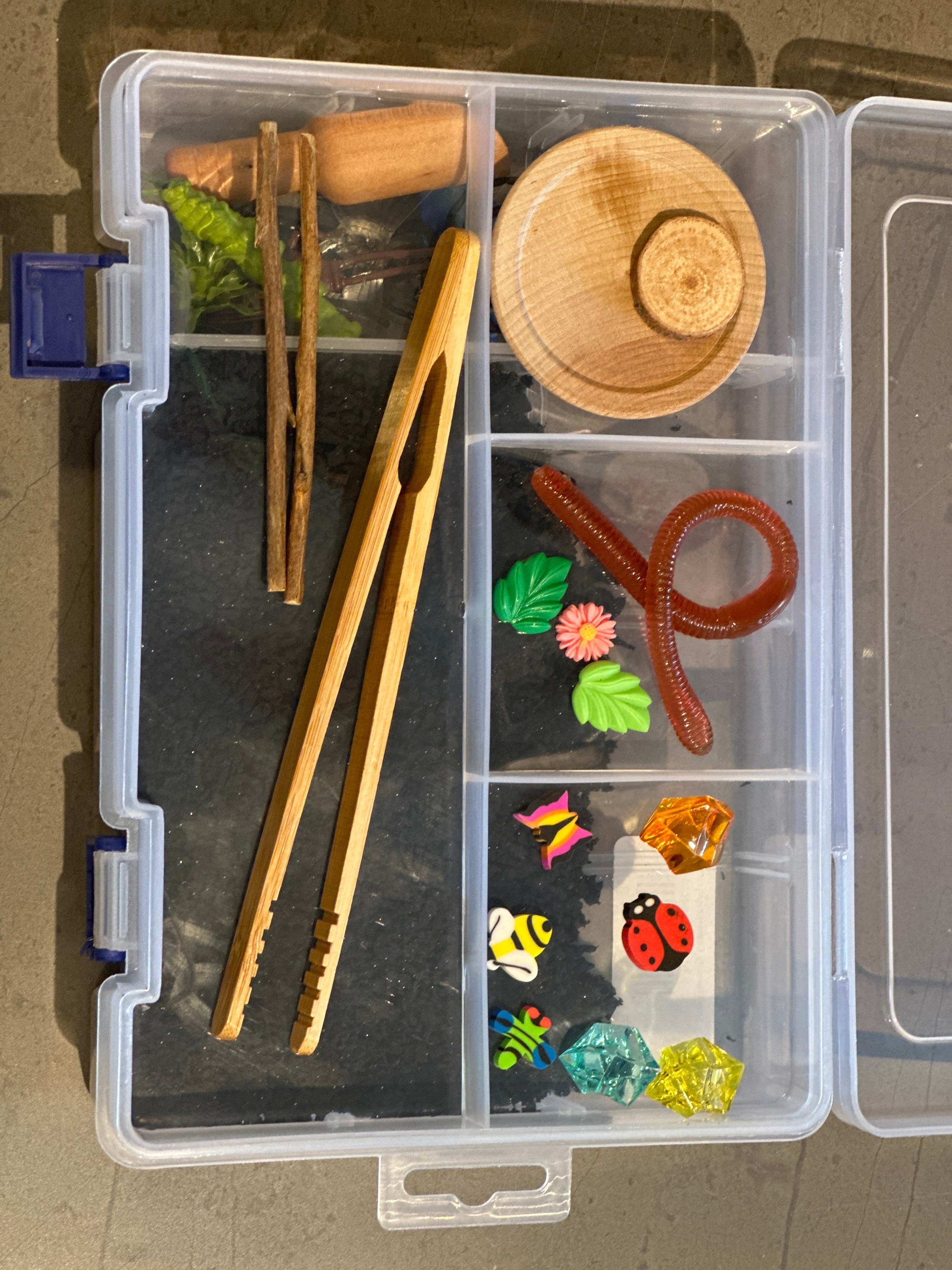 Insects Sensory Bin, Sensory Bin, Sensory Play, Insects, Bugs Bin, Busy ...