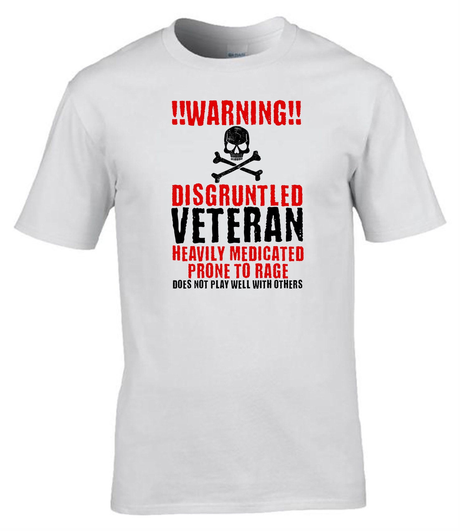 Disgruntled Veteran Warning T-shirt, Disgruntled T-shirt, Veteran Funny ...