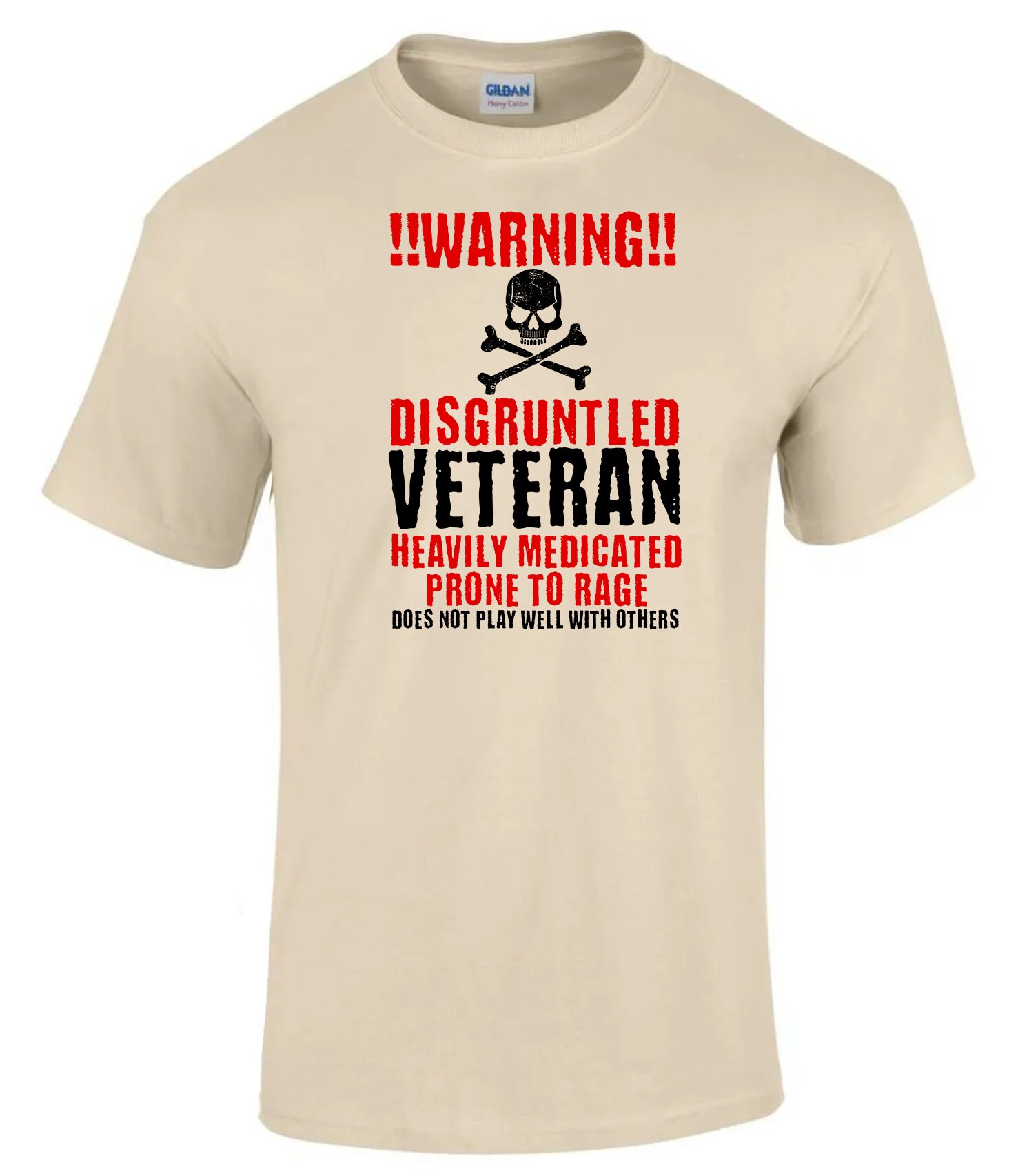 Disgruntled Veteran Shirt for Him, Veteran Warning, Veteran Fathers Day ...