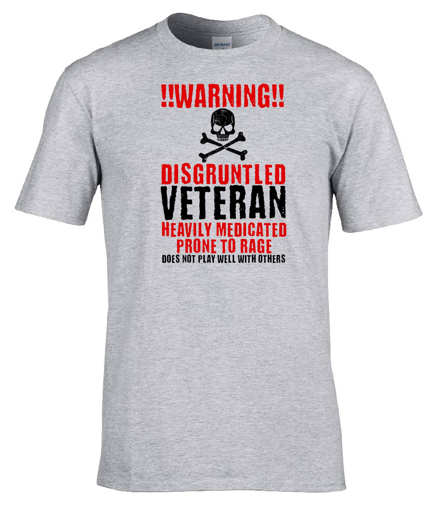 Disgruntled Veteran Warning T-shirt, Disgruntled T-shirt, Veteran Funny ...