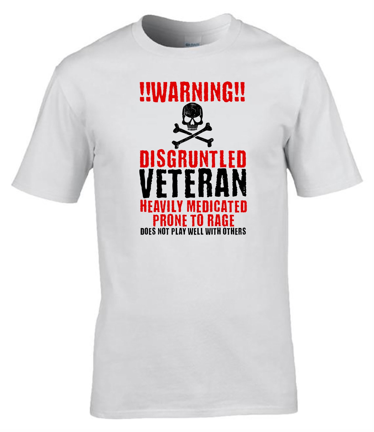 Disgruntled Veteran Shirt for Him, Veteran Warning, Veteran Fathers Day ...