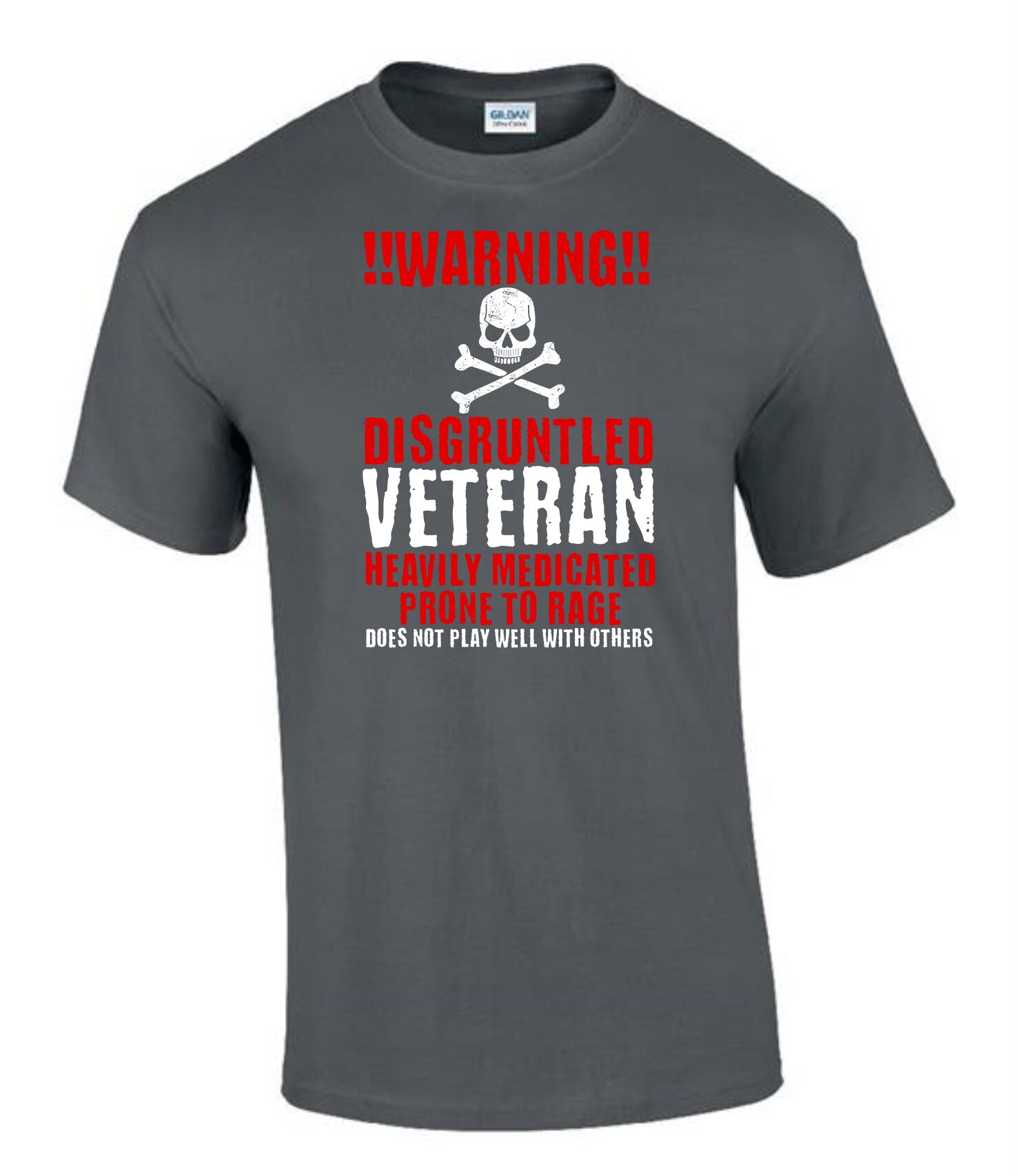 Disgruntled Veteran Shirt for Him, Veteran Warning, Veteran Fathers Day ...