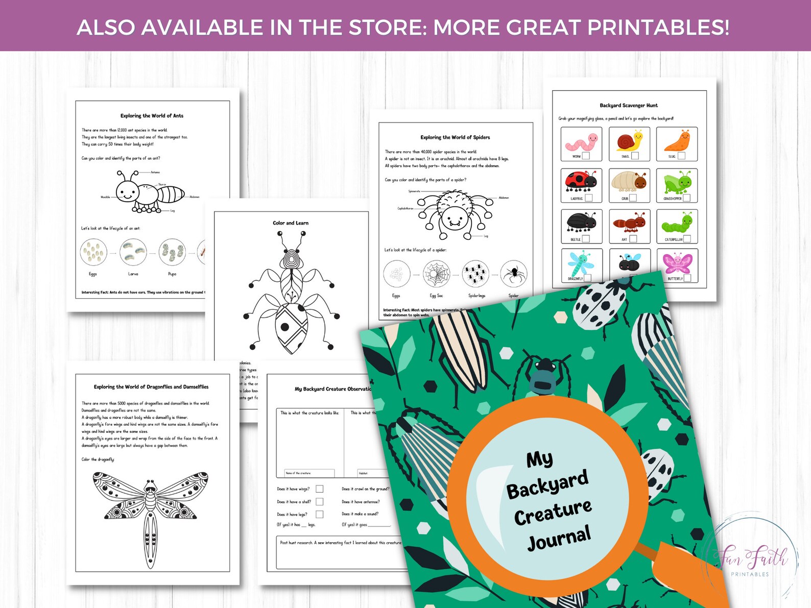 Printable Ladybug Unit Study, Ladybug Facts Workbook, Life Cycle of a ...