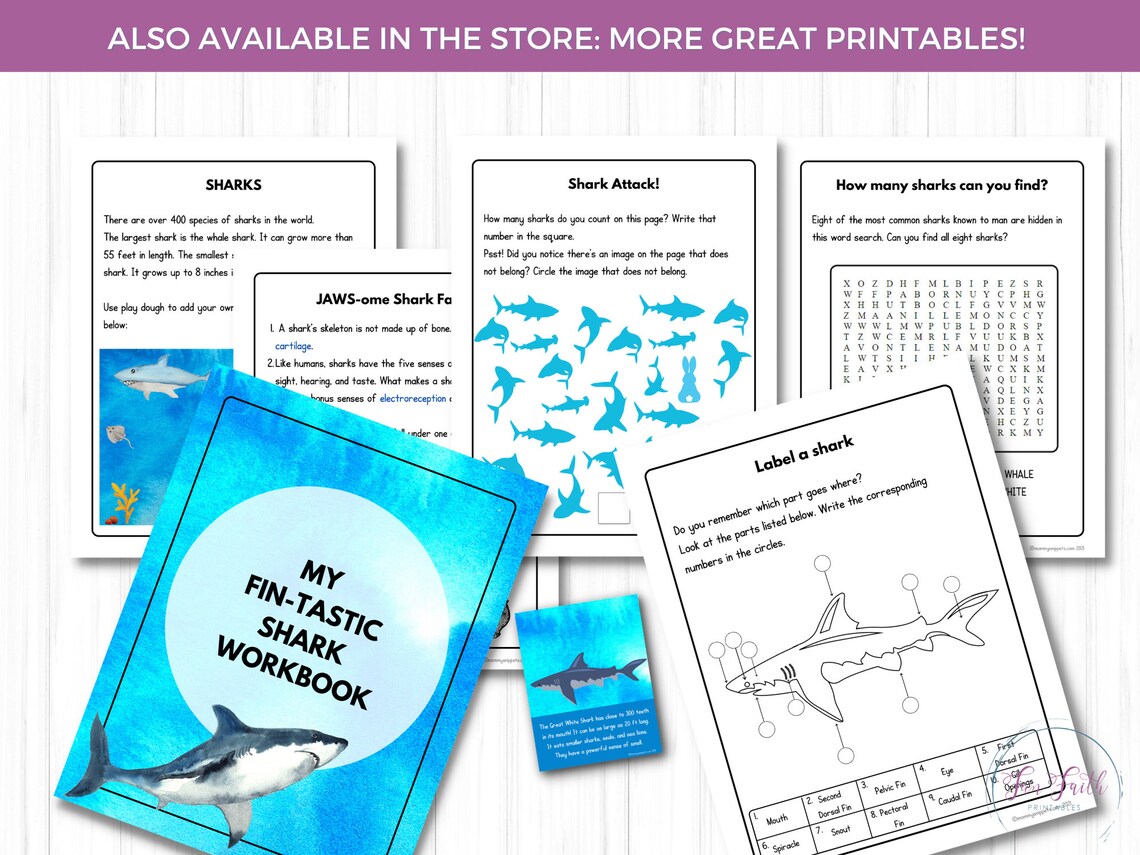 Sea Turtles Unit Study, Sea Turtles Facts Workbook, Life Cycle of a Sea ...