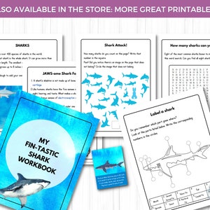 Sea Turtles Unit Study, Sea Turtles Facts Workbook, Life Cycle of a Sea ...