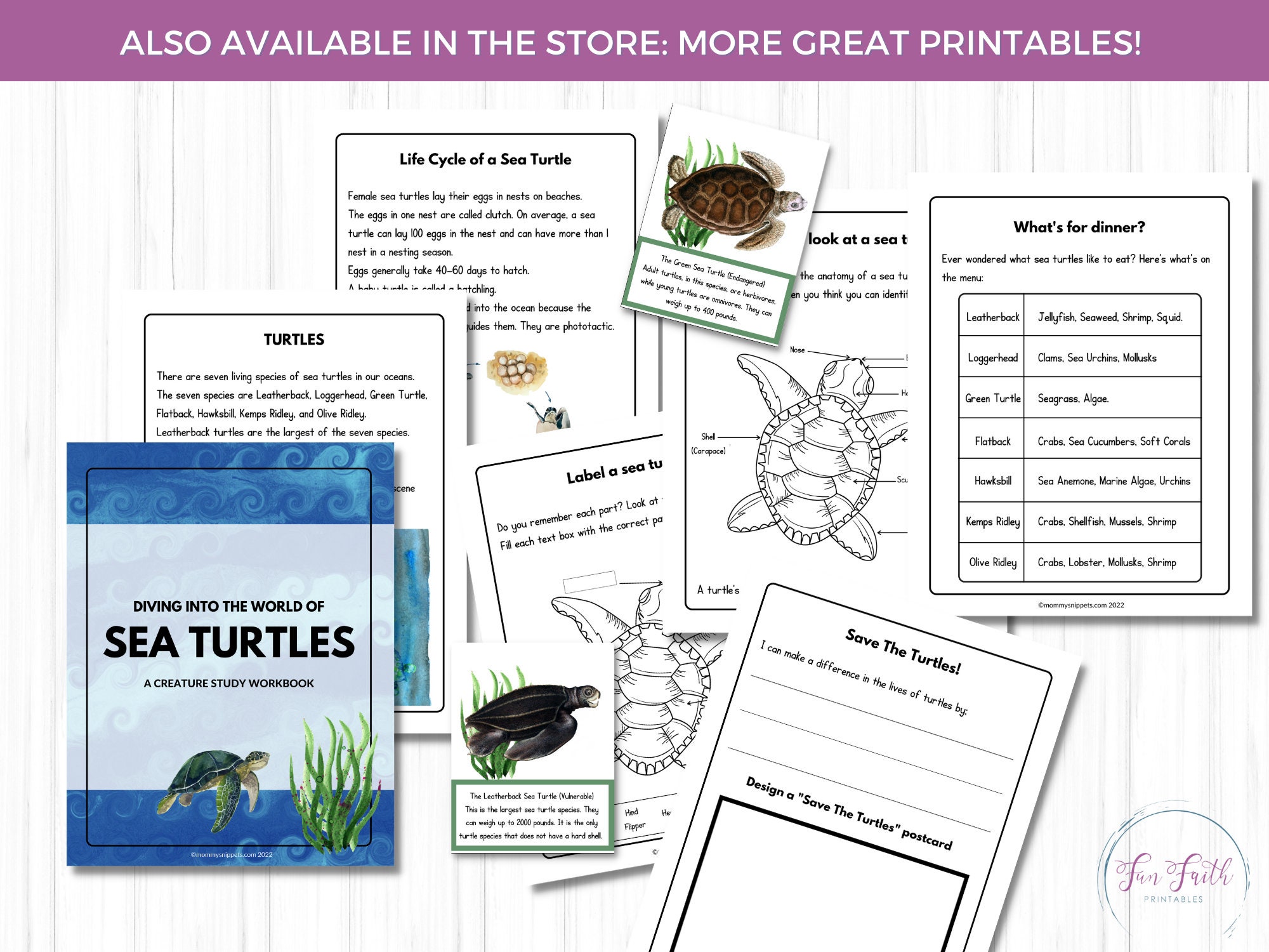 Sharks Unit Study, Shark Facts Workbook, Shark Nature Study, Shark ...