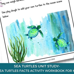 Sea Turtles Unit Study, Sea Turtles Facts Workbook, Life Cycle of a Sea ...