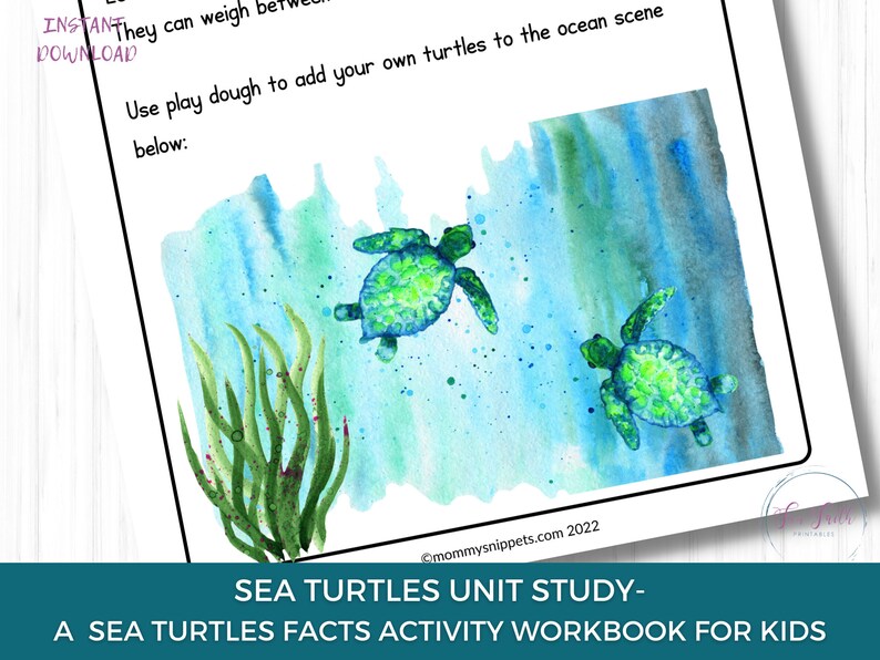 Sea Turtles Unit Study, Sea Turtles Facts Workbook, Life Cycle of a Sea ...