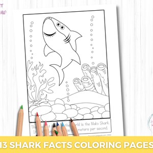 Facts About Sharks Coloring Pages, Printable Coloring Sheets for Kids ...