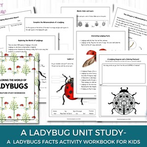 Printable Ladybug Unit Study, Ladybug Facts Workbook, Life Cycle of a ...