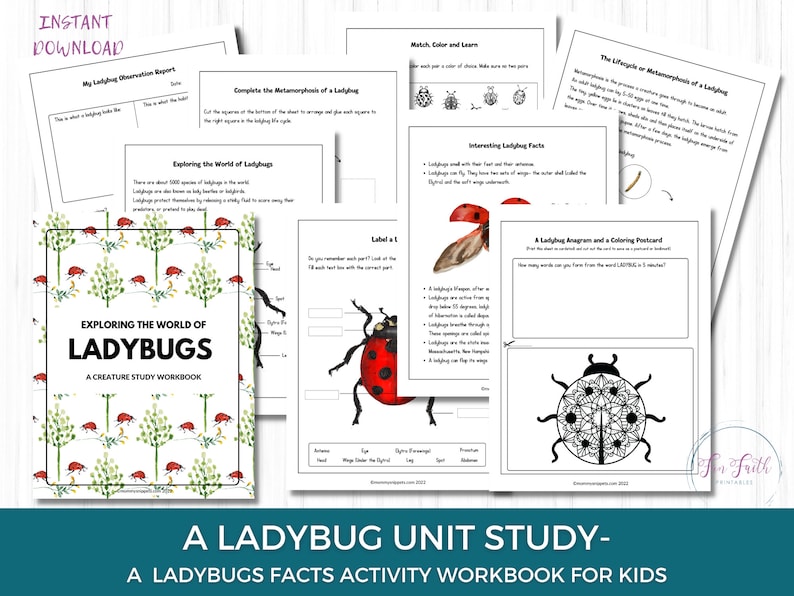 Printable Ladybug Unit Study, Ladybug Facts Workbook, Life Cycle of a ...