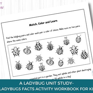 Printable Ladybug Unit Study, Ladybug Facts Workbook, Life Cycle of a ...