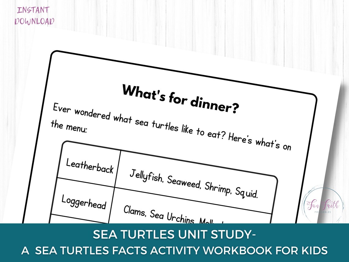 Sea Turtles Unit Study, Sea Turtles Facts Workbook, Life Cycle of a Sea ...