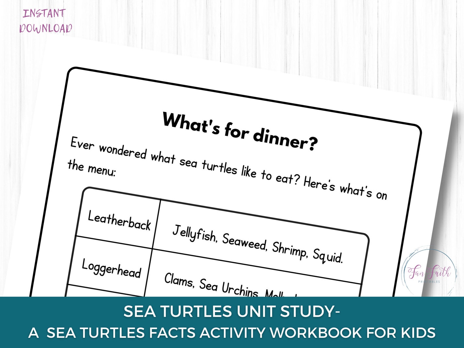 Sea Turtles Unit Study, Sea Turtles Facts Workbook, Life Cycle of a Sea ...