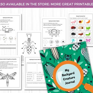 Nature Walk Observation Journal, Printable Nature Journal for Kids ...