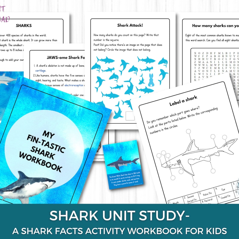 FunFaithPrintables - Etsy